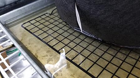 Nirvana WW Auto Sohum Soil Test - GrowWeedEasy.com Cannabis Growing Forum